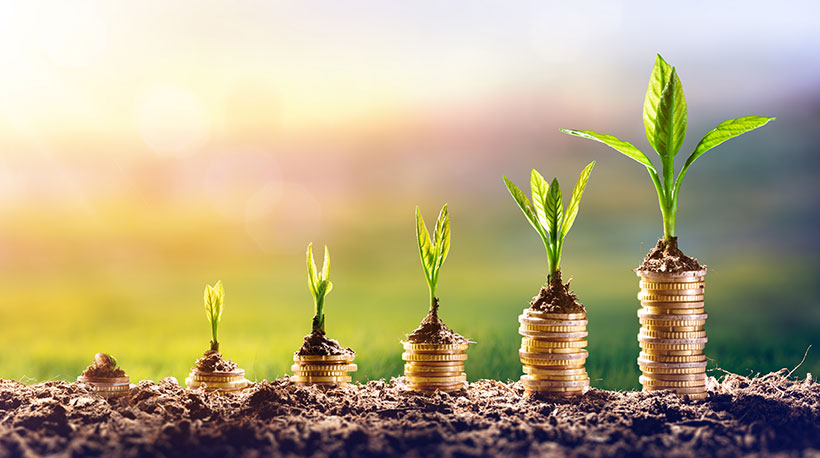 Growing the Value of Your Business | Dreamrunner Consulting